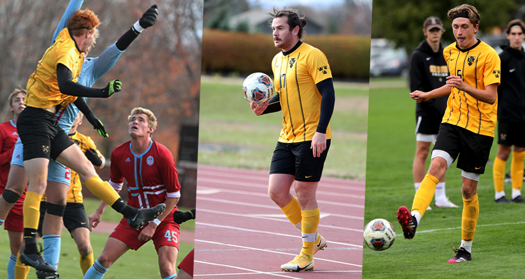 Hecht Named MIAC Defensive Player of the Year, Gibbons and Anderson ...